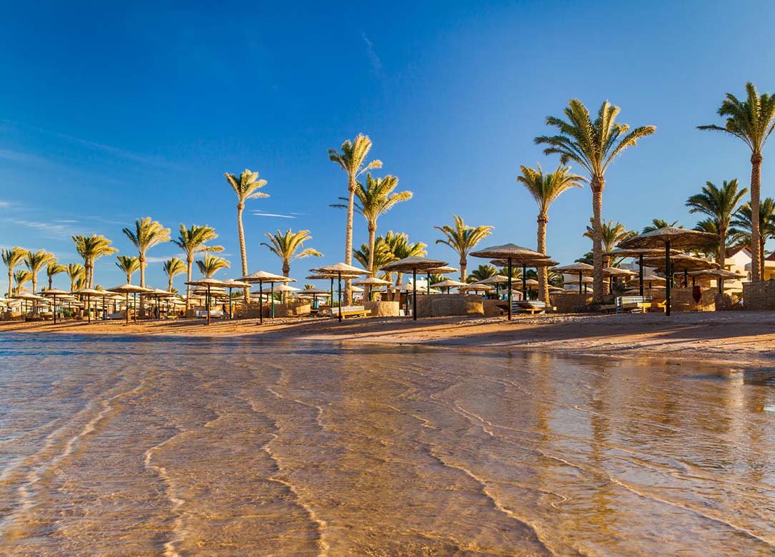 Quelles Sont Les Meilleurs Opportunités Pour Un Voyage Pas Cher ...